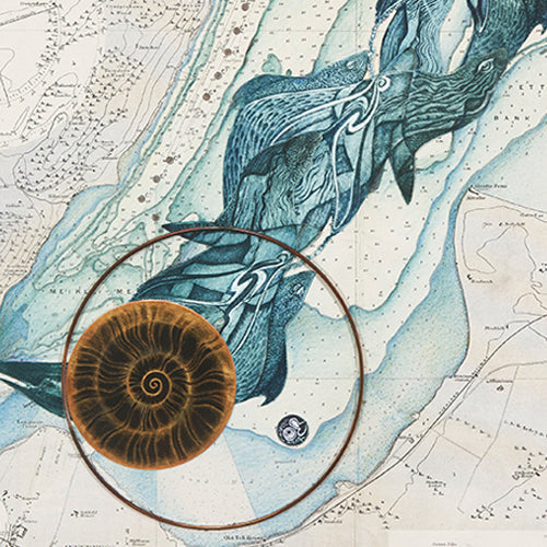 Louise Scott – Castle Gallery