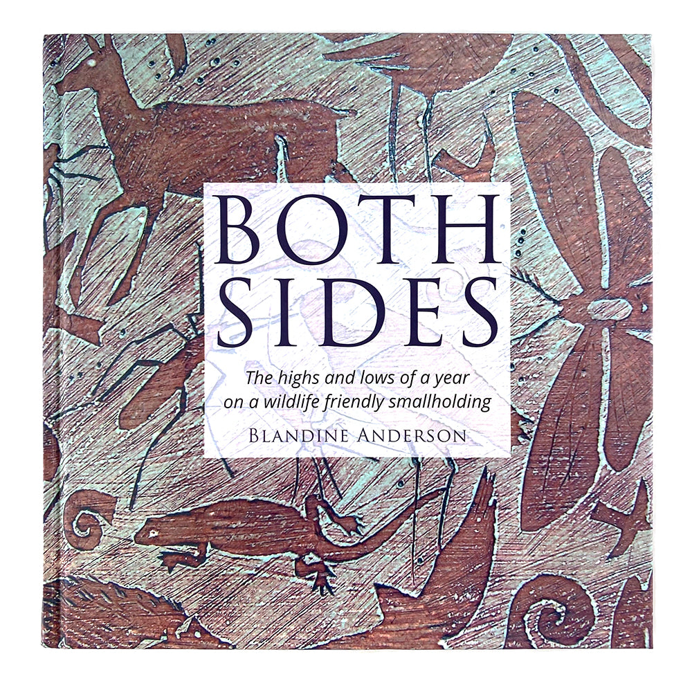 Both Sides - Book – Castle Gallery