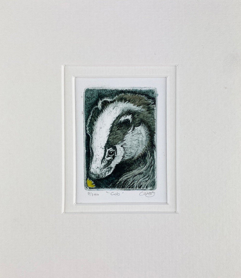 Cub – Castle Gallery
