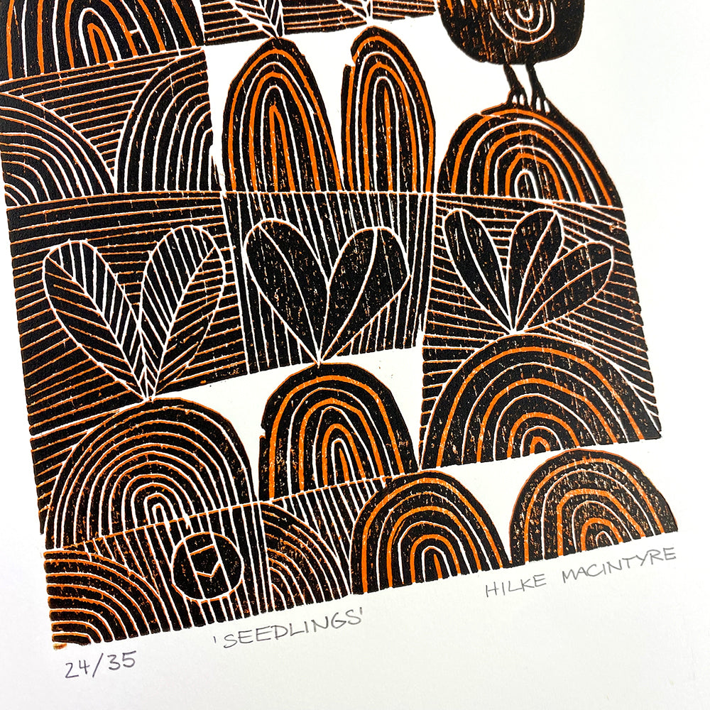 Seedlings – Castle Gallery